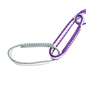 Metolius Alpine PAS - Purple/Silver