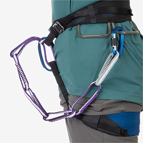 Metolius Alpine PAS - Purple/Silver