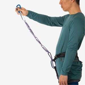 Metolius Alpine PAS - Purple/Silver