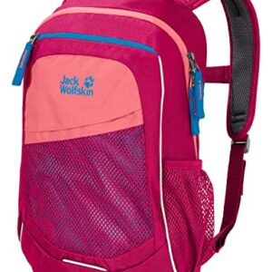 Jack Wolfskin Youth Track Jack Backpack, Orchid, One Size