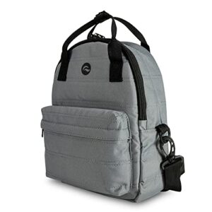 Skunk Raven Backpack (Platinum Gray)