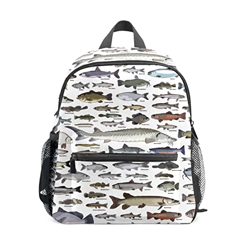 Kids School Bag Girls Boys Preschool Toddler Backpack for Boy Girl Lightweight Shoulder Book Bag for Kids Perfect Back Pack for Toddler to Kindergarten Sea Fish Pattern