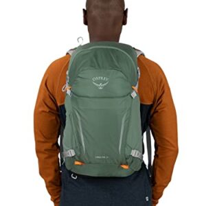 Osprey Hikelite 26L Unisex Hiking Backpack, Pine Leaf Green, One Size