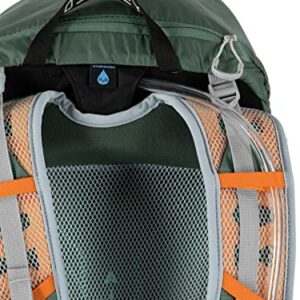 Osprey Hikelite 26L Unisex Hiking Backpack, Pine Leaf Green, One Size