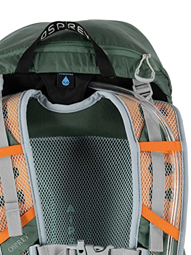 Osprey Hikelite 26L Unisex Hiking Backpack, Pine Leaf Green, One Size