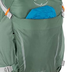 Osprey Hikelite 26L Unisex Hiking Backpack, Pine Leaf Green, One Size