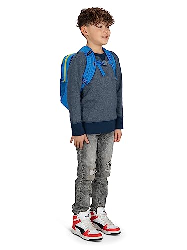 Osprey Daylite Jr. Kids' Everyday Backpack, Alpin Blue/Blue Flame, One Size