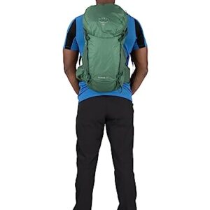 Osprey Skarab 30L Men's Hiking Backpack with Hydraulics Reservoir, Tundra Green, One Size