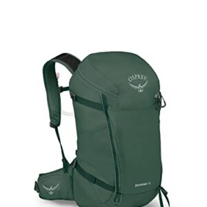 Osprey Skarab 30L Men's Hiking Backpack with Hydraulics Reservoir, Tundra Green, One Size