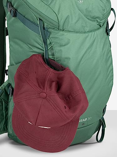 Osprey Skarab 30L Men's Hiking Backpack with Hydraulics Reservoir, Tundra Green, One Size