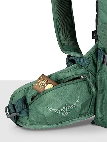 Osprey Skarab 30L Men's Hiking Backpack with Hydraulics Reservoir, Tundra Green, One Size