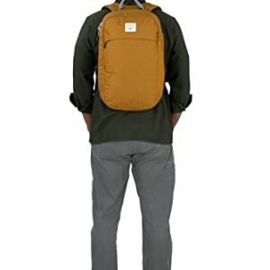 Osprey Arcane Large Day Everyday Backpack, Brindle Brown Heather, One Size