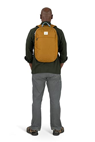 Osprey Arcane Large Day Everyday Backpack, Brindle Brown Heather, One Size