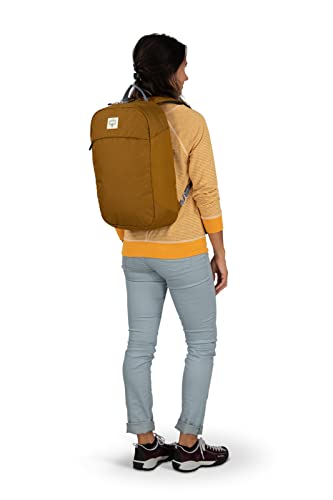 Osprey Arcane Large Day Everyday Backpack, Brindle Brown Heather, One Size