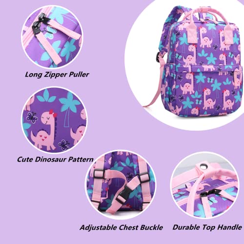 Cute Preschool Backpack Toddler School Book Bag for Girls Boys Kids Kindergarten Nursery Travel Bag with Chest Strap(12inch, Girly Dinosaur)