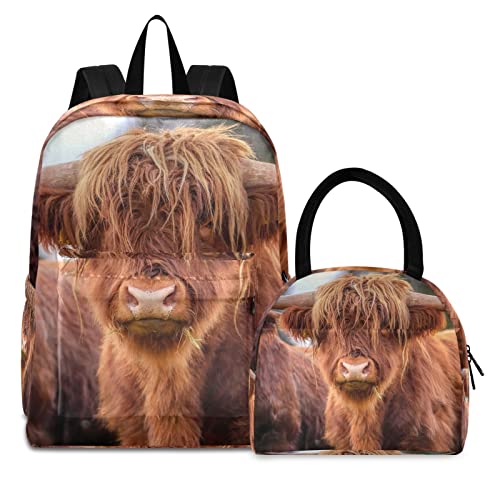 ODAWA Scottish Highland Cow Kids Backpack Set Boys, School Camping Travel Backpack with Insulated Lunch Bag