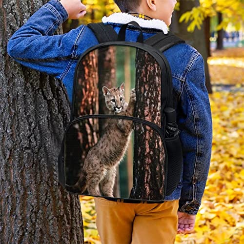 Allcute Girls Boys Novelty School Bag Animal Cougar Print Print Large Capacity Backpack for Student Teens Comfy Padded Lightweight Bookbag with Front Pocket 17 Inch