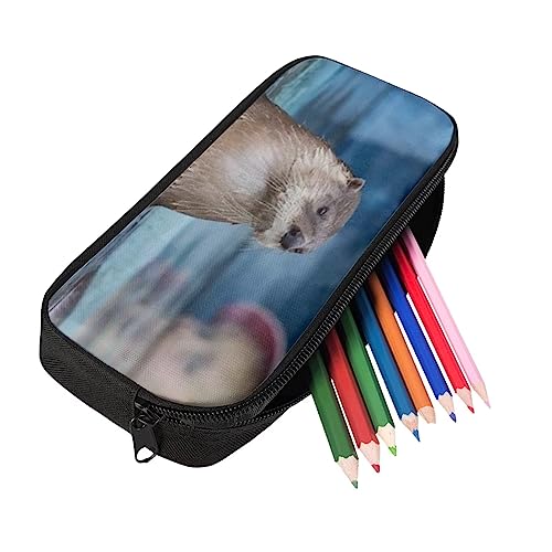 Kids Novelty Animal Backpack and Lunch Box for Boys Girls Student Lightweight 17 Inch School North American River Otter Backpack with Lunch Bag Pencil Case Kids Comfy Padded Black Large Bookbag