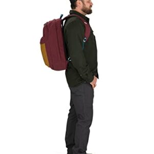 Osprey Arcane XL Day Everyday Backpack, Allium Red/Brindle Brown, One Size