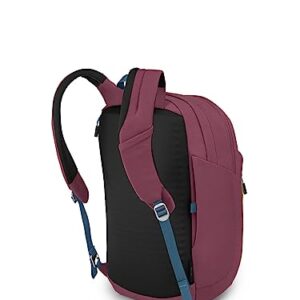 Osprey Arcane XL Day Everyday Backpack, Allium Red/Brindle Brown, One Size