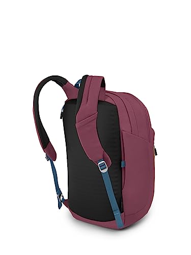 Osprey Arcane XL Day Everyday Backpack, Allium Red/Brindle Brown, One Size