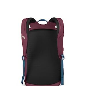 Osprey Arcane XL Day Everyday Backpack, Allium Red/Brindle Brown, One Size