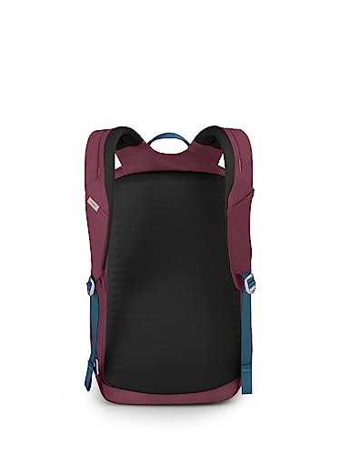 Osprey Arcane XL Day Everyday Backpack, Allium Red/Brindle Brown, One Size