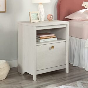 Sauder Dover Edge Night Stand with Drawer, L: 22.84" x W: 17.24" x H: 27.44", Glacier Oak Finish