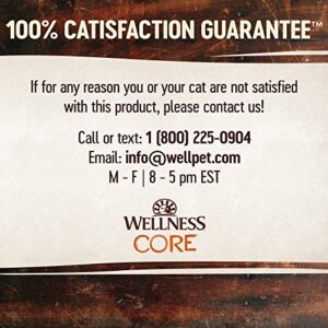 Wellness CORE Tiny Tasters Wet Cat Food, Complete & Balanced Natural Pet Food, Made with Real Meat, 1.75-Ounce Pouch, 12 Pack (Adult Cat, Tuna & Salmon Pate)