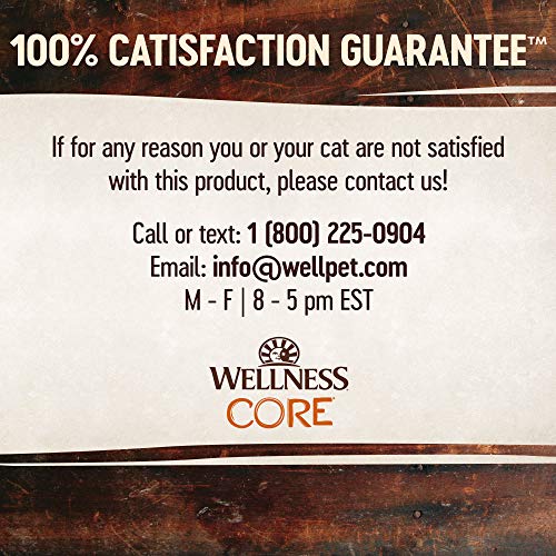 Wellness CORE Tiny Tasters Wet Cat Food, Complete & Balanced Natural Pet Food, Made with Real Meat, 1.75-Ounce Pouch, 12 Pack (Adult Cat, Tuna & Salmon Pate)