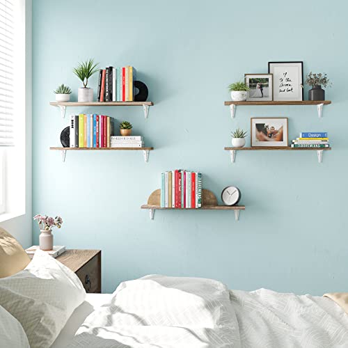 Wallniture Arras Floating Shelves for Wall Decor 24" Bookshelf Living Room Decor Wall Shelf for Bathroom & Kitchen, Office & Bedroom Decor Burnt, White Bracket Set of 5