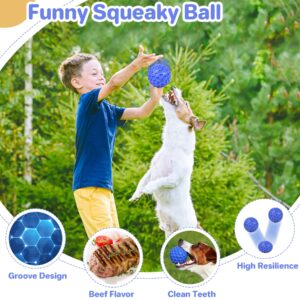 Indestructible Squeaky Dog Balls, Interactive Dog Toys for Aggressive Chewers Large Breed for Relieving Anxiety, Dog Chew Toys Balls for Aggressive Chewers, Outdoor Dog Toys Dog Water Toys for Dogs