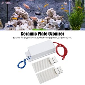 Ceramic Ozone Plates Replacement, Ozone Generator Ceramic Plate Low Noise Easy Assembly Small Ozonizer Machine for Home Car Public Places 110V