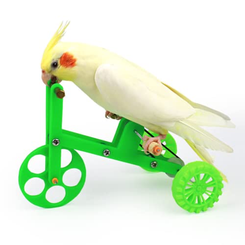 Bird Intelligence Training Toy, Parrot Puzzle Bicycle Toy for Small Medium Bird，Parrot Educational Table Top Trick Prop Toy, Bird Foot Talon Toy for Lovebird Conures Parakeet Random Color