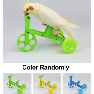 Bird Intelligence Training Toy, Parrot Puzzle Bicycle Toy for Small Medium Bird，Parrot Educational Table Top Trick Prop Toy, Bird Foot Talon Toy for Lovebird Conures Parakeet Random Color