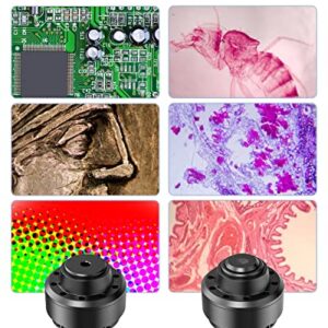 7'' LCD Digital Microscope 2000X Biological Lens & Digital Lens, Ankylin 12MP Coin Microscope for Error Coins, Remote Control, 10 LED Light, USB Soldering Microscope for Adults/Kids