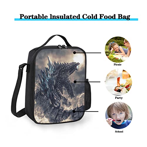 Insulated Lunch Box for Boys Girls, Reusable Dinosaur Lunch Bag, Waterproof Cooler Tote Bag with Adjustable Shoulder Strap and Water Bottle Holder