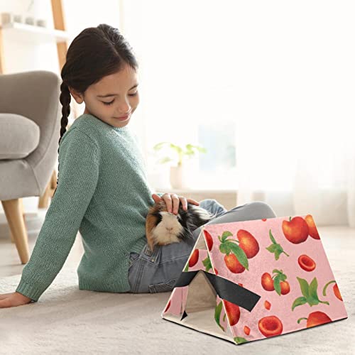 Cherry Pattern, Hamster House Habitat Bed for Small Animal Hamster Gerbils Chipmunks Squirrels Hedgehogs Guinea Pigs Habitat Decor