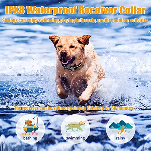 GONNLLYY Dog Training Collar, Dog Shock Collar with Electric , Vibration Beeps, Keypad Lock Mode(1-16 Levels) Rang 2000FT, IPX8 Waterproof for Large Dog/Medium Dog/Small Dog(8 lbs-150 lbs)