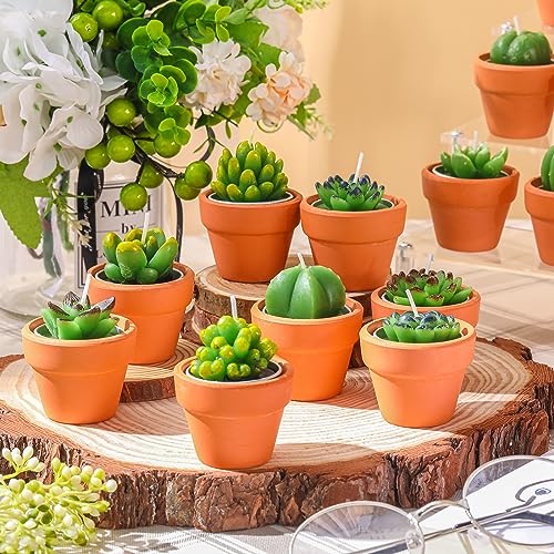 36 Pcs Succulent Candles Decorative Cactus Tealight Candle Tea Lights Handmade Baby Shower Candle Decorations Plant Candle with Mini Terracotta Clay Candle Holders for Wedding Home Party Decor