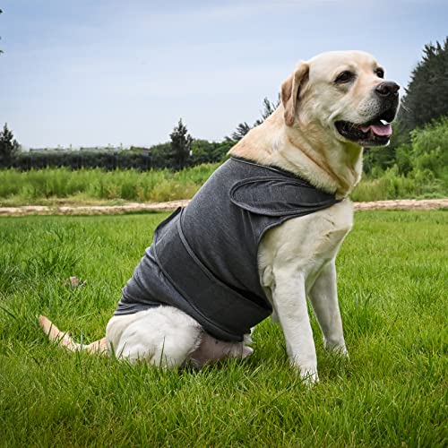 HCHYEY Dog Anxiety Jacket, Skin-Friendly Dog Calming Shirt - Dog Coat for Thunder, Fireworks and Separation - Keep Pet Calm Without Medicine & Training, Anti Anxiety Vest for Dogs (Dark Grey, XS)