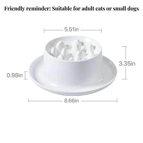 Slow Feeder Cat Bowl,Raised Cat Slow Feeder, Elevated Cat Bowls for Slow Eating, Pet Slow Feeder for Wet & Dry Food,Prevent Vomiting Improves Digestion (White)