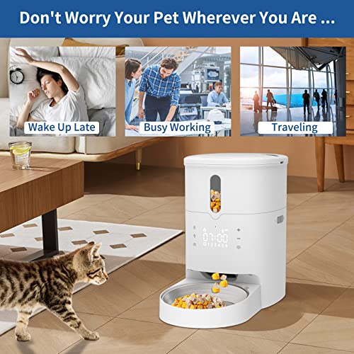 EdgeAnt Automatic Pet Feeders for Cats and Dogs, Dry Food Dispenser with Desiccant Bag, 3L Timed Cat Feeder, 304 Stainless Steel Bowl, 10s Voice Recorder, Compatible for Freeze-Dried Pet Food