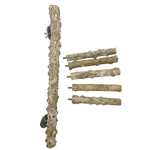 Allazone 3 PCS Nature Wood Bird Ladder Perch Nature Wood Stand Parrot Chew Toy Cage Hanging Pet Cage Bird Climbing Step Ladders for Small Animal