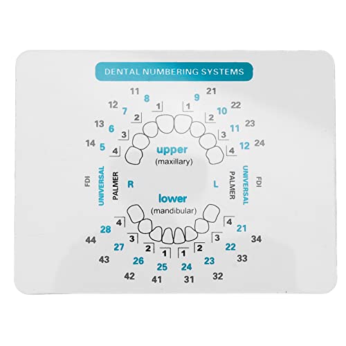 Dental Veneers Mould Set, 32pcs Different Shapes Heat Resistance Front Back Teeth Composite Resin Mold 2 Sizes