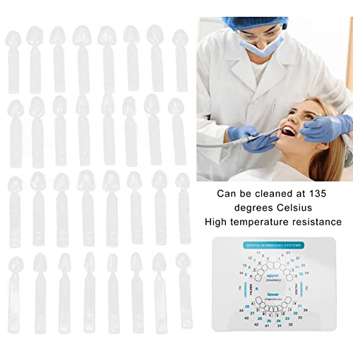 Dental Veneers Mould Set, 32pcs Different Shapes Heat Resistance Front Back Teeth Composite Resin Mold 2 Sizes