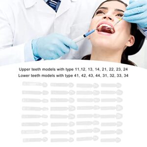 Dental Veneers Mould Set, 32pcs Different Shapes Heat Resistance Front Back Teeth Composite Resin Mold 2 Sizes