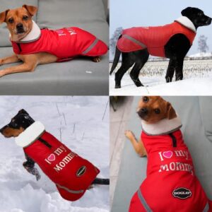 Doglay Cute Dog Coat, Warm Dog Winter Jacket Reflective Waterproof Dog Winter Coat with Thicken Fleece, Puppy Coat for Small Medium Large Dogs.