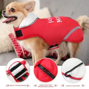 Doglay Cute Dog Coat, Warm Dog Winter Jacket Reflective Waterproof Dog Winter Coat with Thicken Fleece, Puppy Coat for Small Medium Large Dogs.