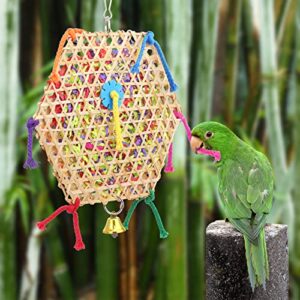 AK KYC Bird Parrot Toys，2 Pack Bird Hanging Foraging Shredder Toys for Small Medium Small Bird Conure Cockatiel Parrotlet Lovebird Budgie